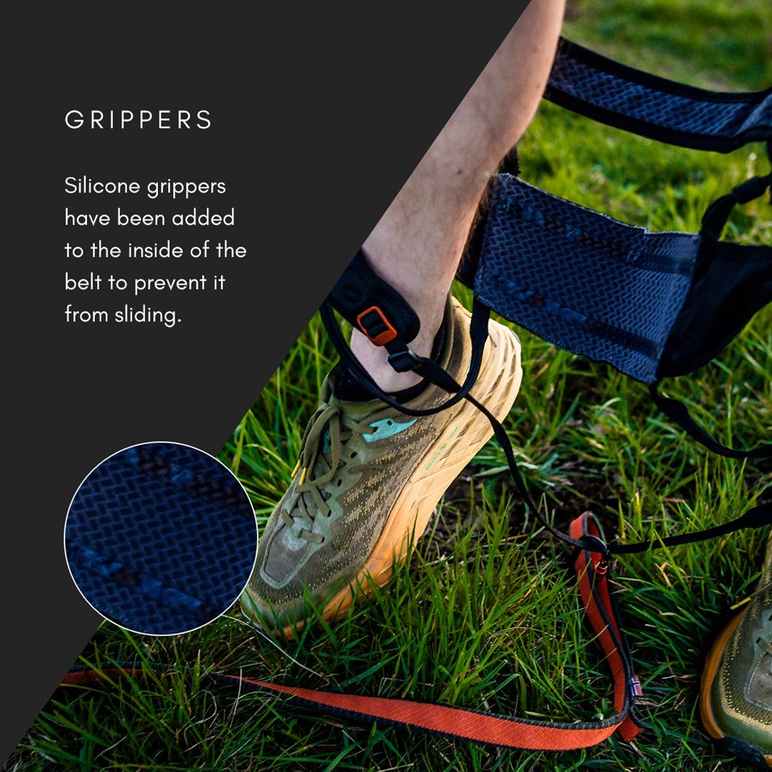 CaniX Belt 2.0 Non Stop Dog Wear Jachthondenwinkel