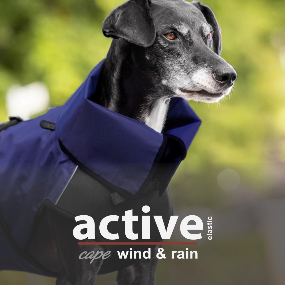 Active Cape WIND & RAIN Elastic Dark Blue Honden regenjas Jachthondenwinkel