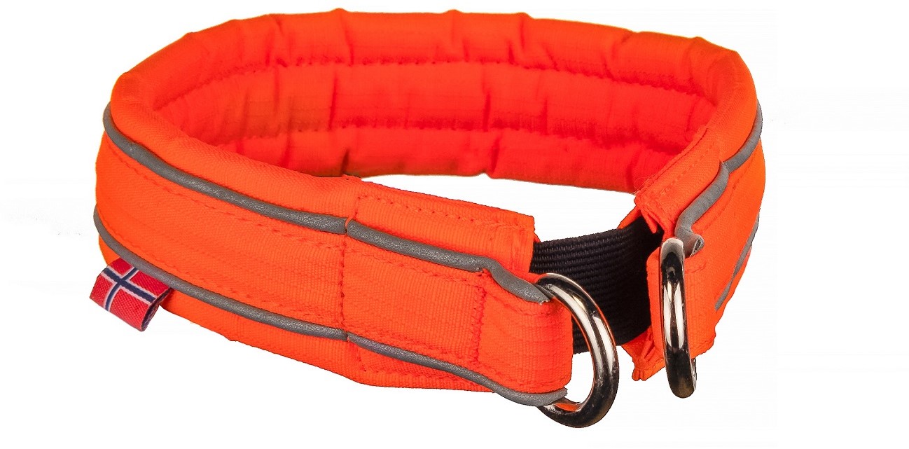 Non Stop Safe Collar High Vision Jachthondenwinkel